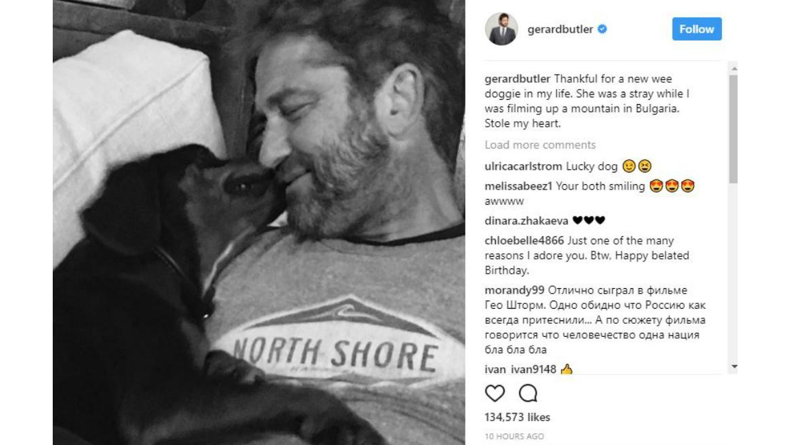 Gerard Butler adopts stray dog - 8days