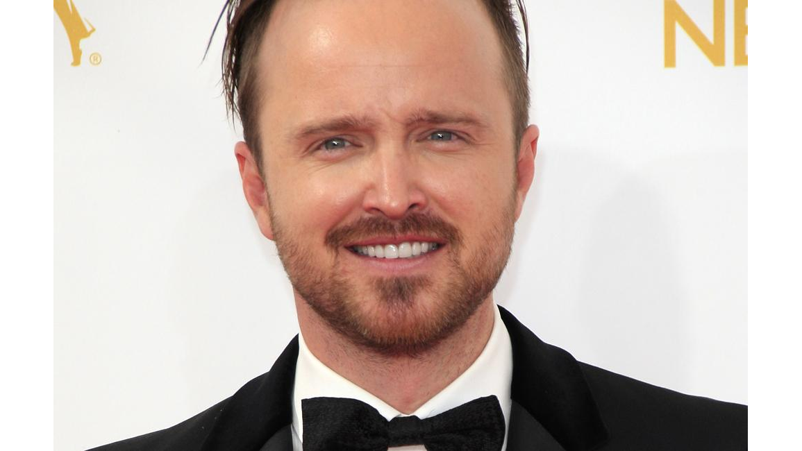 Aaron Paul And Wife Expecting A Girl 8days