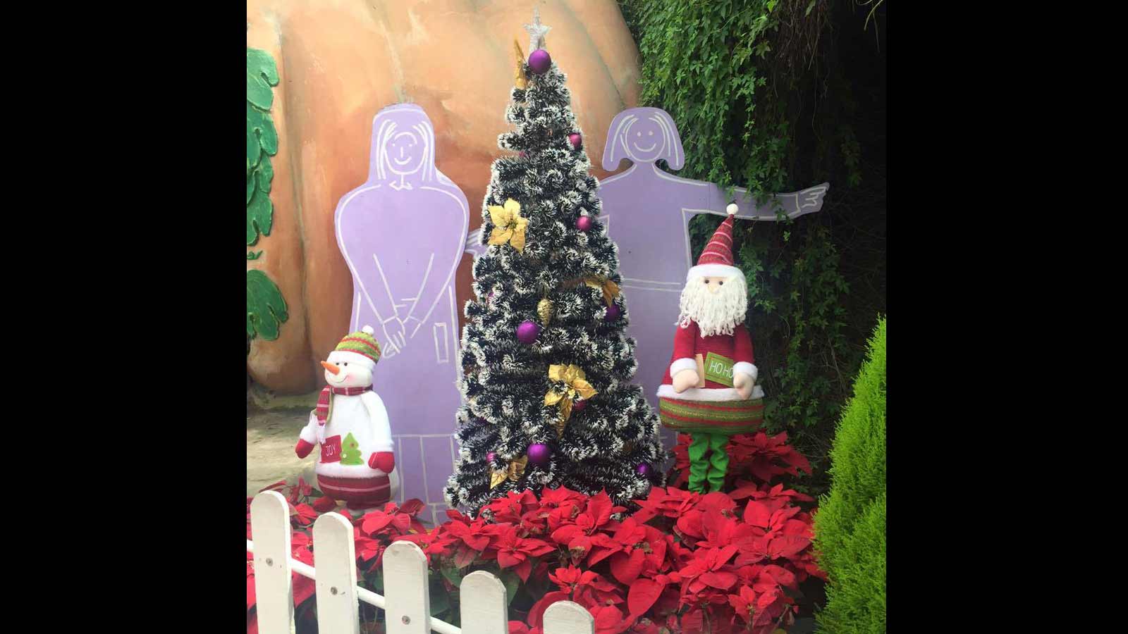 Congratulations to our ‘Stars Play Santa’ winners! - 8days