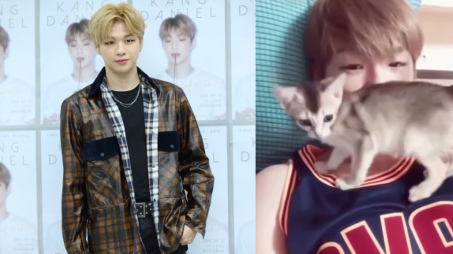 Kang Daniel: I am a cat slave - 8days