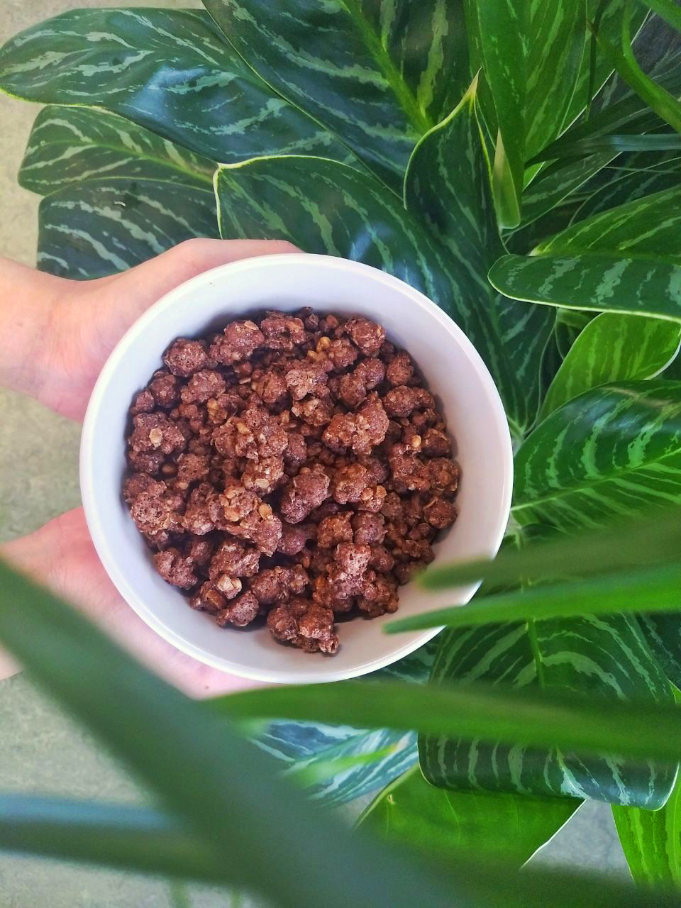 Milo Protein Granola Taste Test: Nice Or Not? - 8days