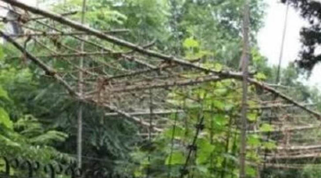 Jet Li’s S$40mil Shanghai Mansion Reportedly Turned Into A Dorm For ...