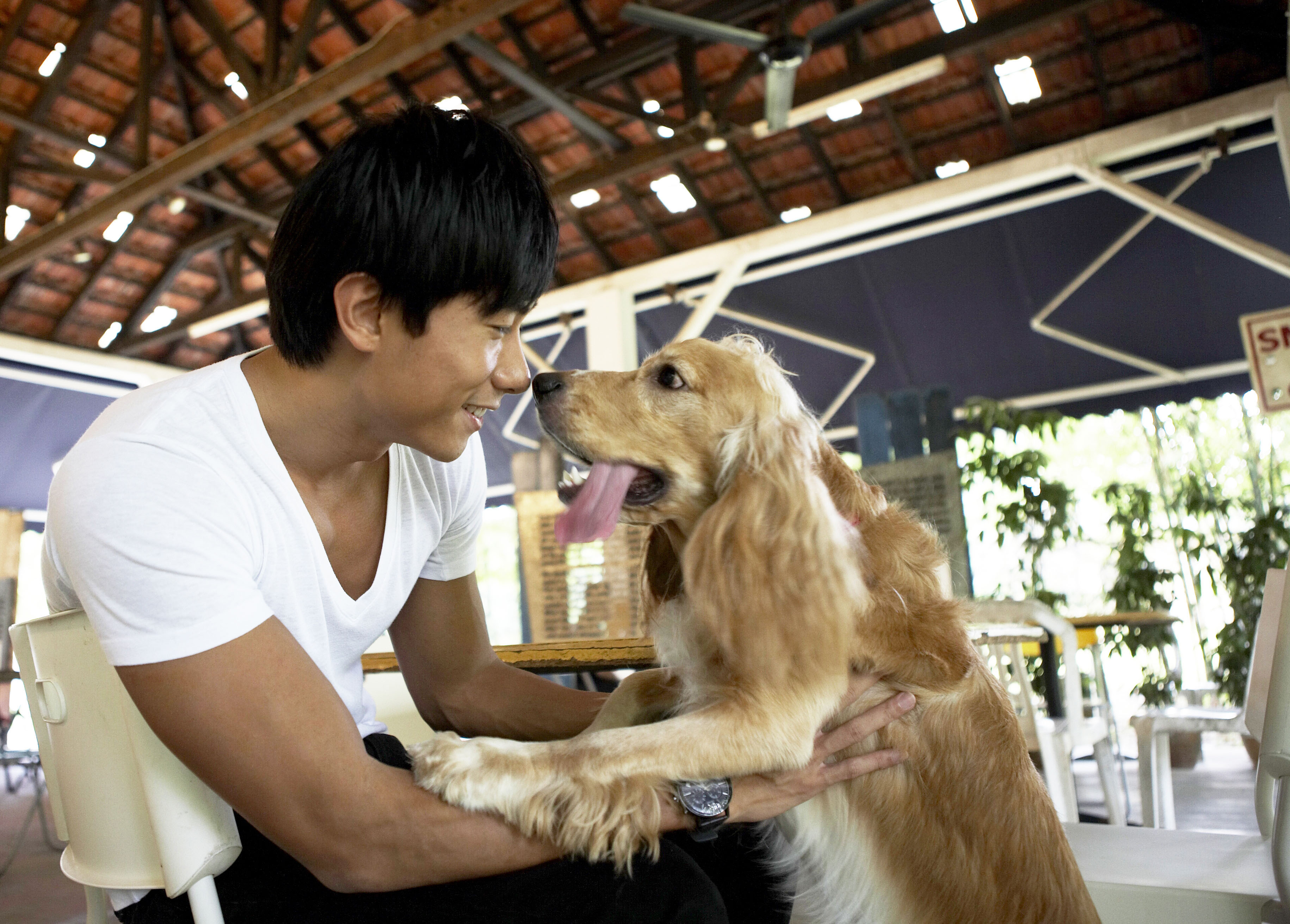 5 Adorable Pics of Desmond Tan And His Dog - 8days