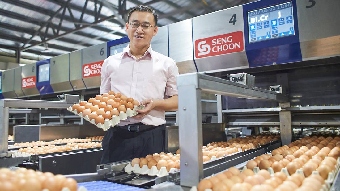 24 Singaporean Fresh Food Producers To Get Veggies, Eggs, Fish ...