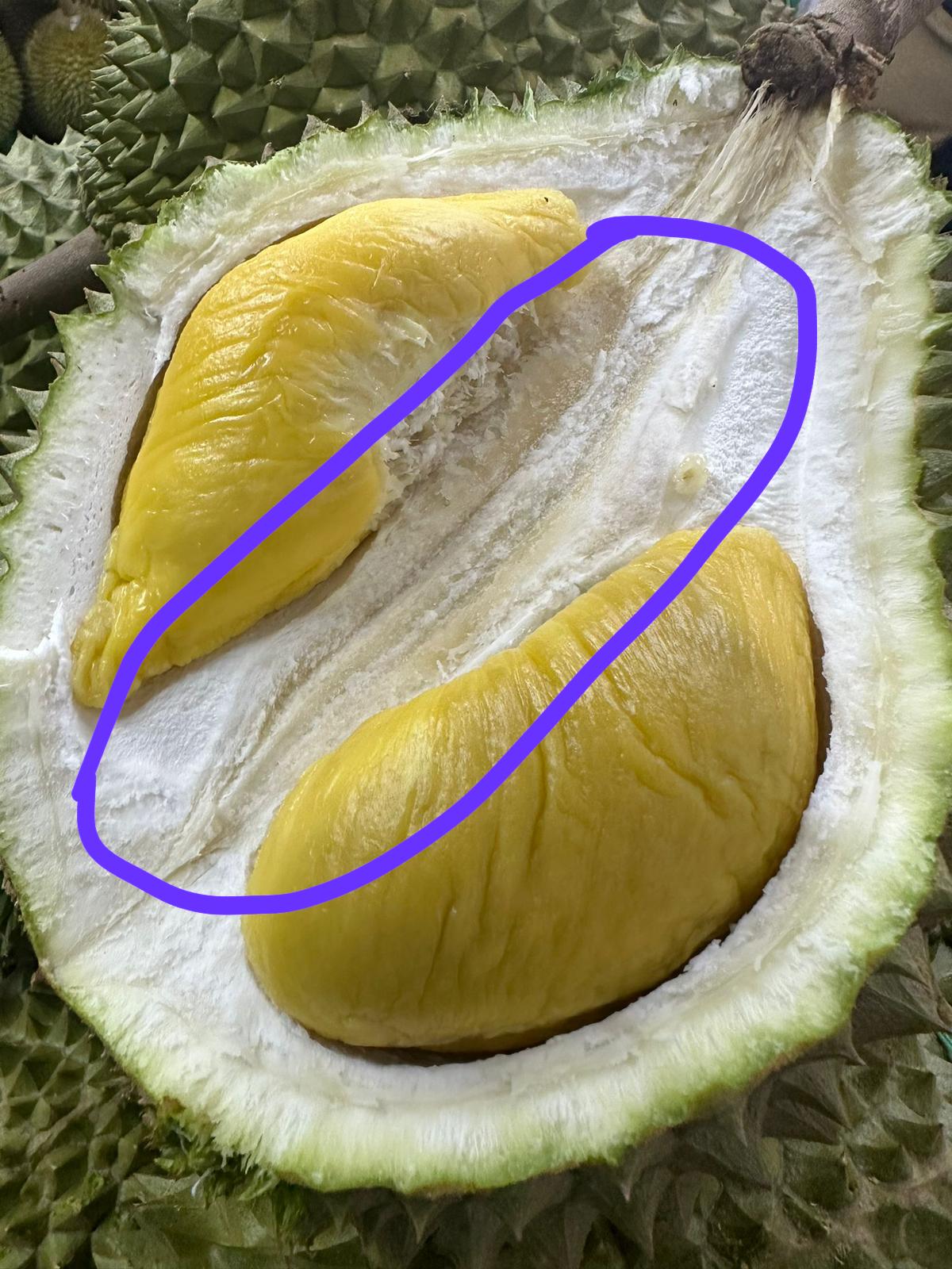 Can eat or not? We ask durian sellers whether viral ‘bruised’ durians ...